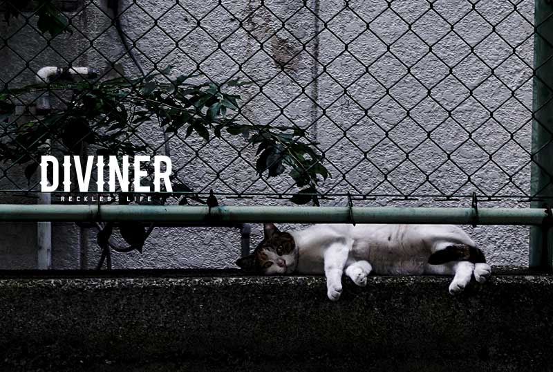 DIVINER 15th Anniversary